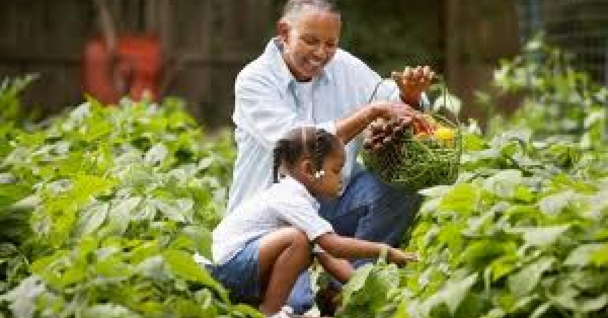 New Dream | Well-Being: Finding Your Family's Environmental Best