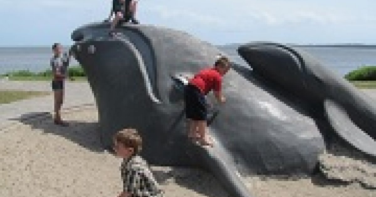 New Dream | Reflections on a Resilient Family Road Trip